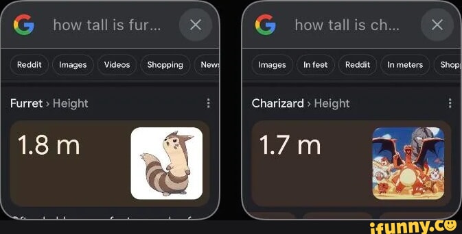 G how tall is fur... G how tall is ch... x Reddit Images Videos ...