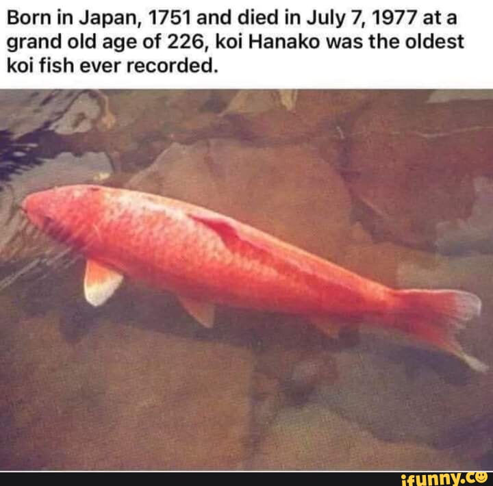 Born in Japan, 1751 and died in July 7, 1977 at a grand old age of 226 ...
