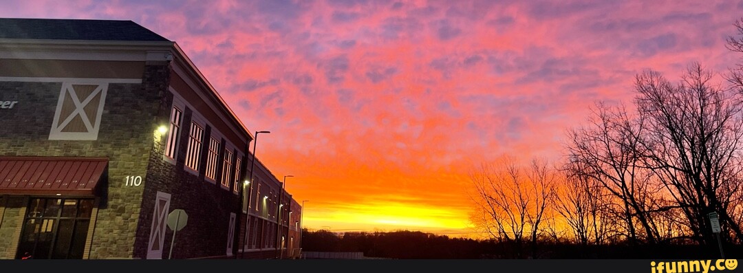 Wegmans memes. Best Collection of funny Wegmans pictures on iFunny