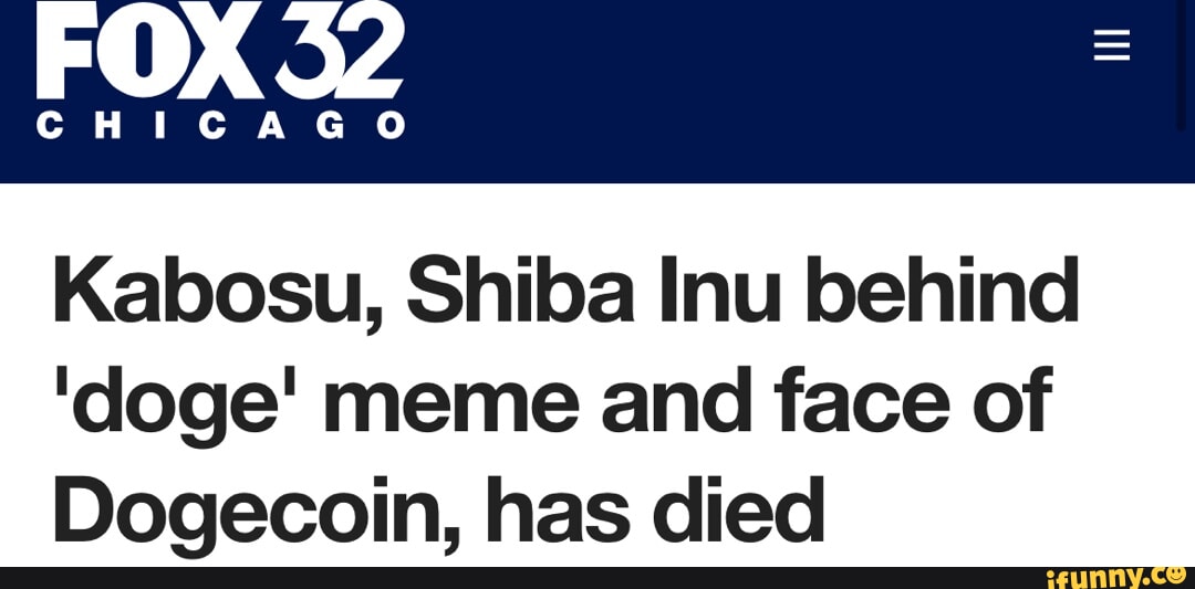 CHICAGO Kabosu, Shiba Inu behind 'doge' meme and face of Dogecoin, has died - iFunny
