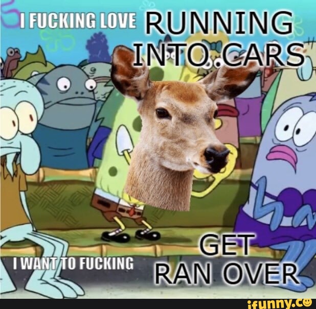 Instagram post by Nickiitheboss • Feb 16, 2020 at 8:23am UTC - iFunny