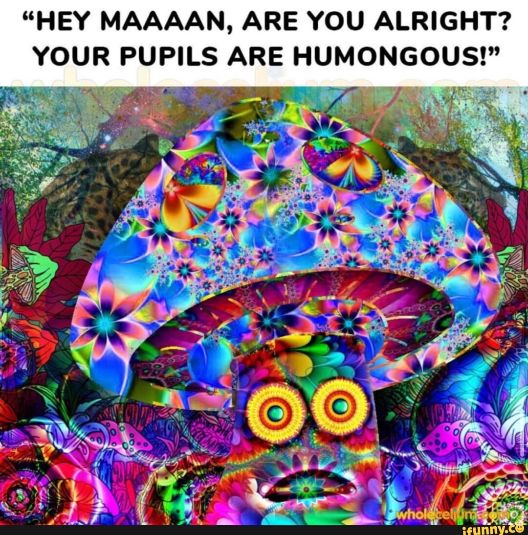 "HEY MAAAAN, ARE YOU ALRIGHT? YOUR PUPILS ARE HUMONGOUS!" - iFunny