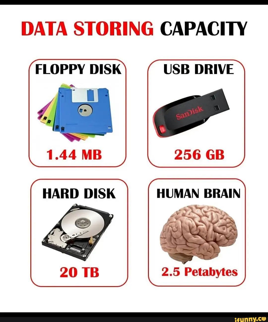 DATA STORING CAPACITY HUMAN BRAIN 2.5 Petabytes - iFunny