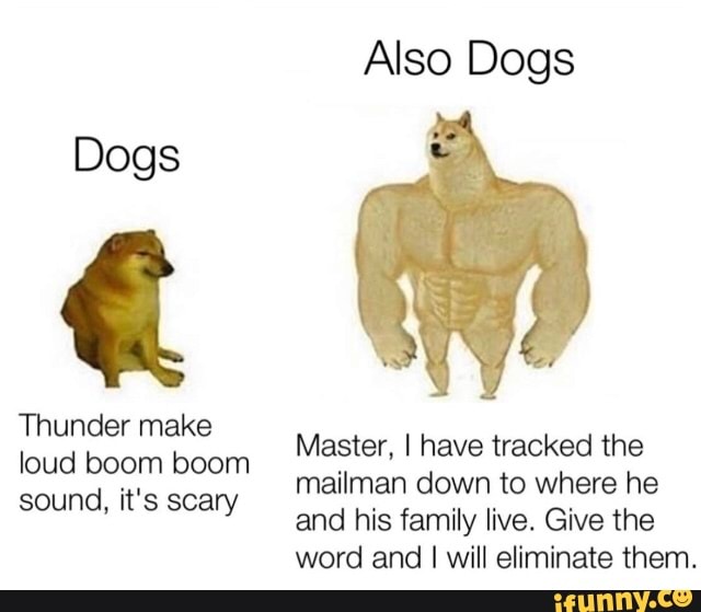 Dogs loud boom boom sound, it's scary mailman down to where he and his ...