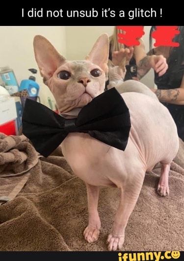 Did not unsub it's a glitch! - iFunny