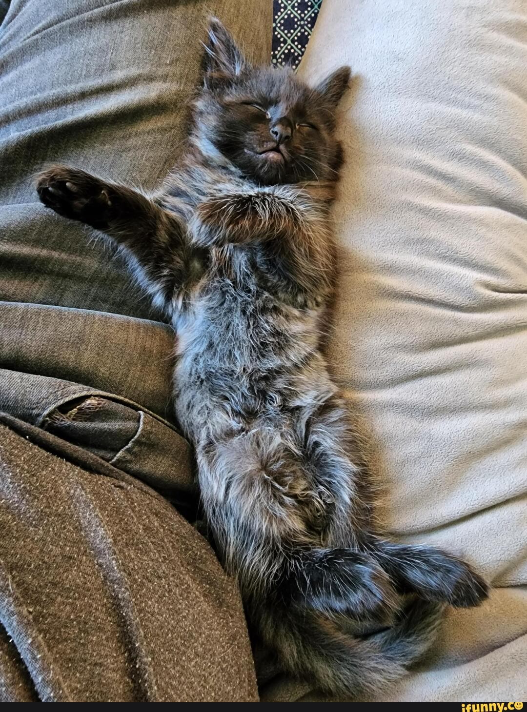 Foster_fail memes. Best Collection of funny Foster_fail pictures on iFunny