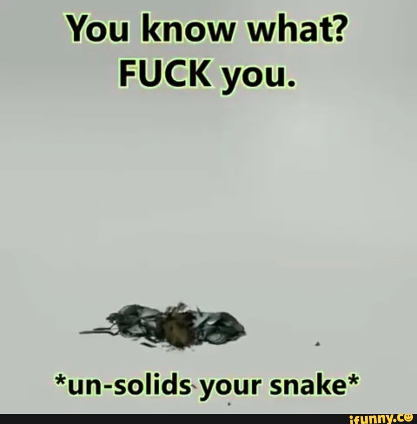 You know what? FUCK you. *un-solids-your snake* - iFunny