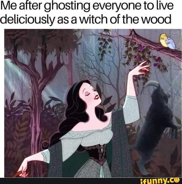 Witch memes. Best Collection of funny Witch pictures on iFunny