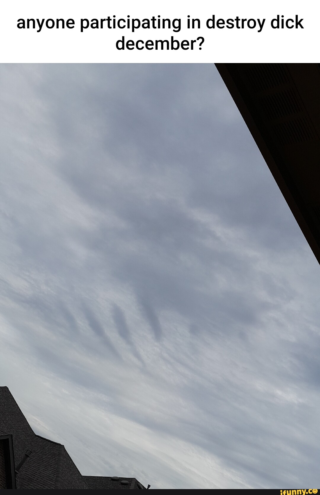 Anyone participating in destroy dick december? - iFunny