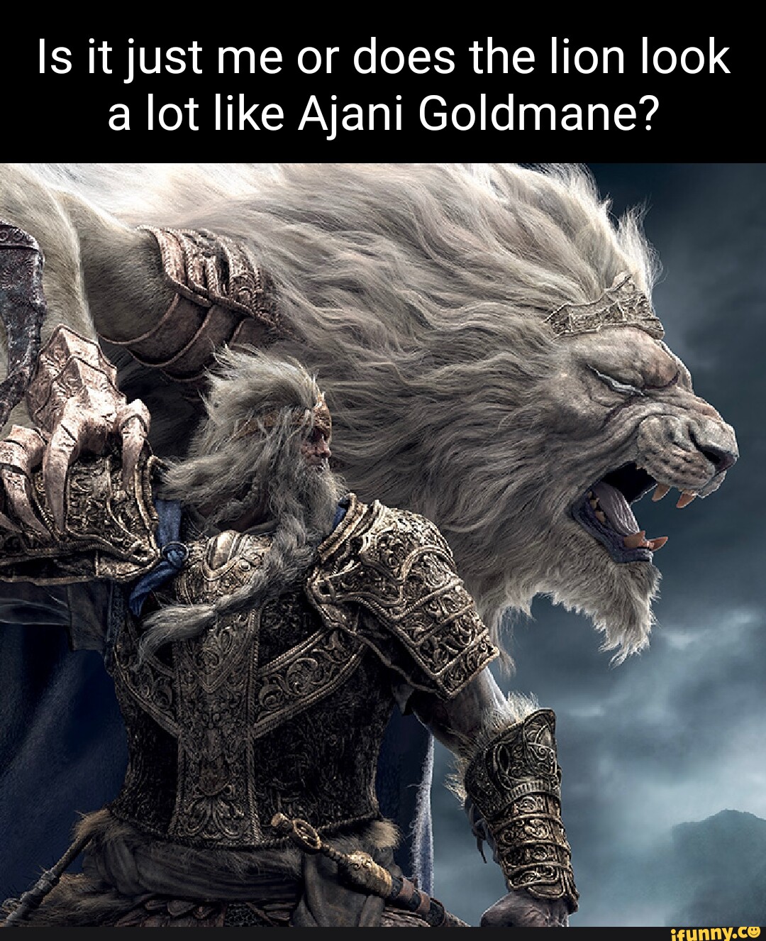 Ajani memes. Best Collection of funny Ajani pictures on iFunny