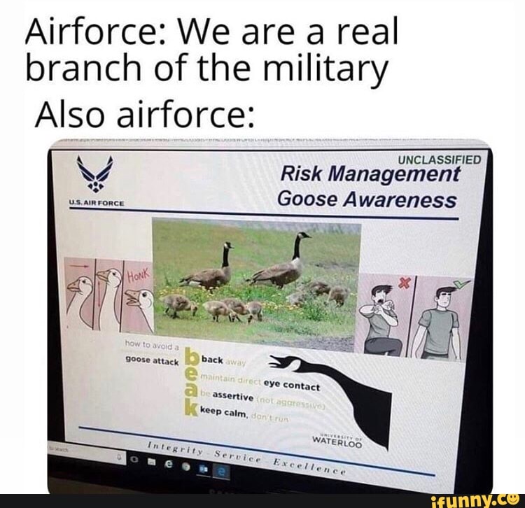 Airforce: We are a real branch of the military Also airforce: K ...