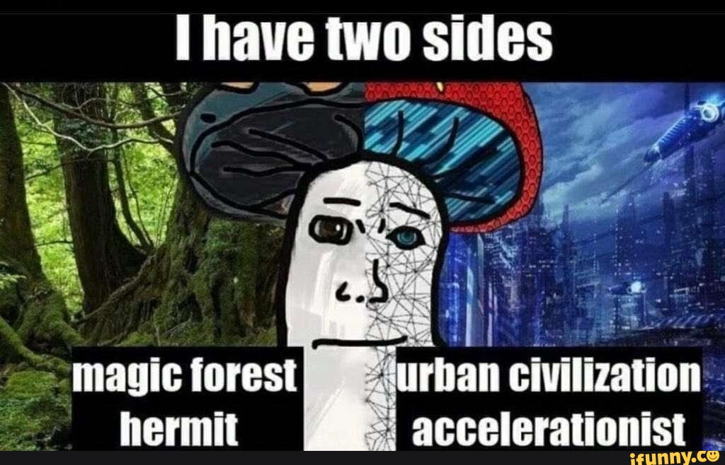 Accelerationist memes. Best Collection of funny Accelerationist ...