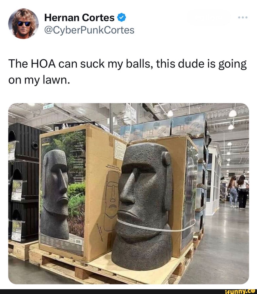 Hoa memes. Best Collection of funny Hoa pictures on iFunny