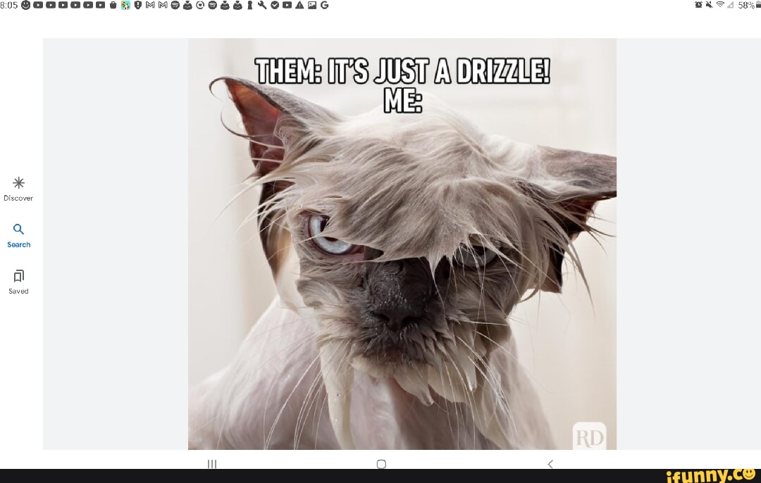 Drizzle memes. Best Collection of funny Drizzle pictures on iFunny