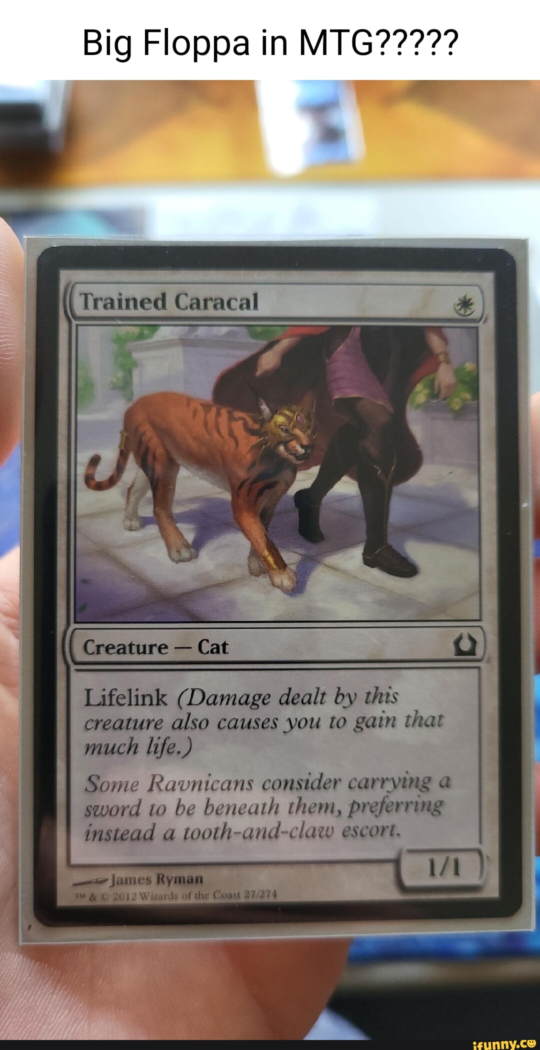 Big Floppa in MTG????? Trained Caracal I creature also causes you to ...