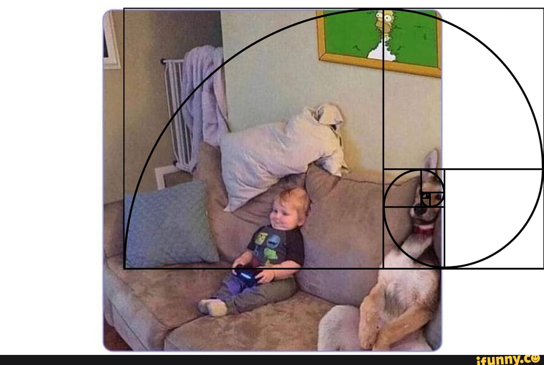 Fibonacci_spiral memes. Best Collection of funny Fibonacci_spiral ...