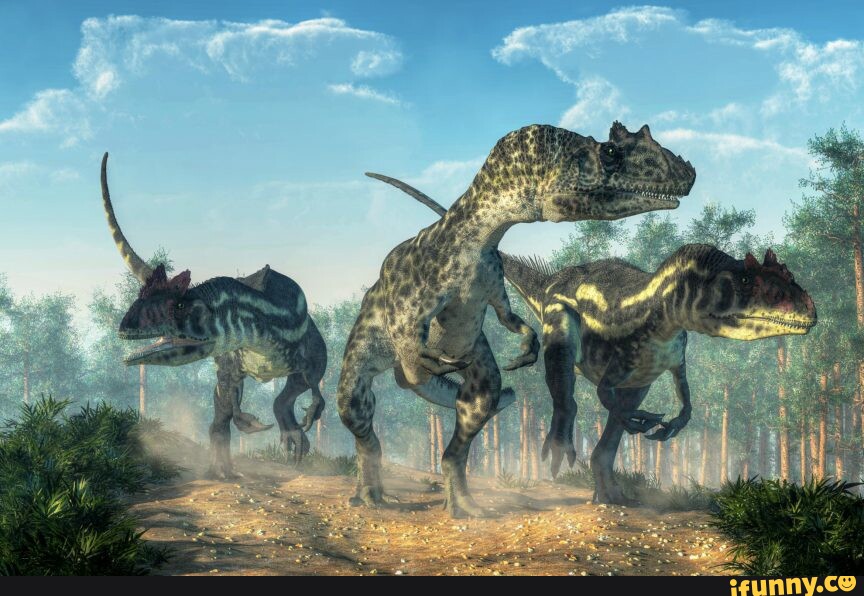 Allosaurus memes. Best Collection of funny Allosaurus pictures on iFunny