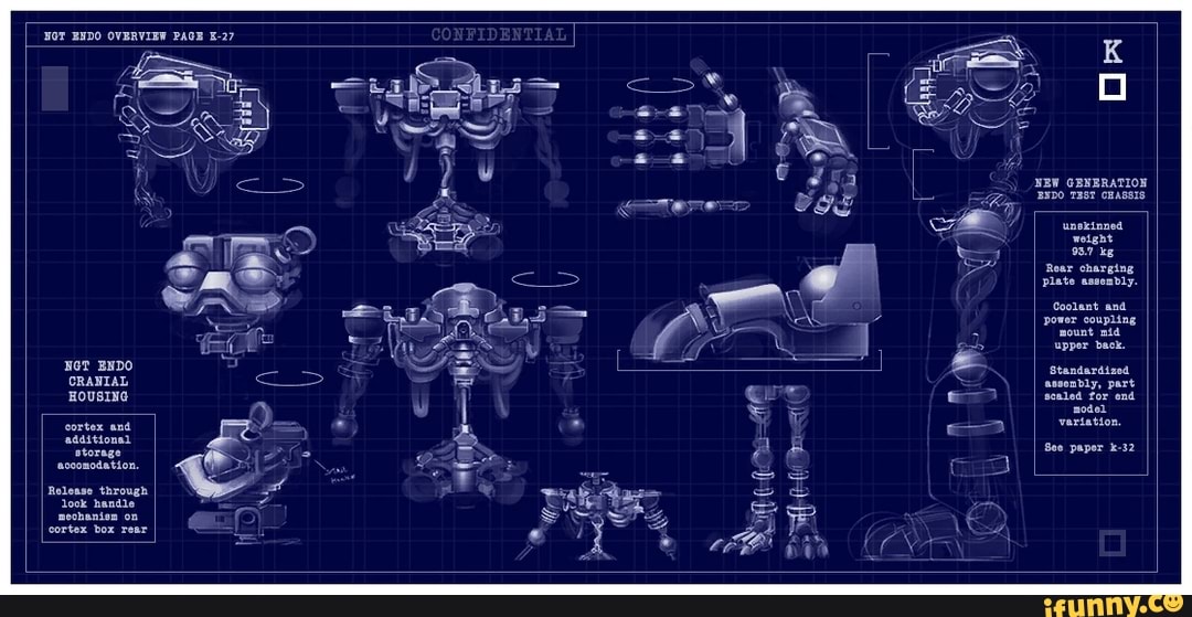 OT ENDO OVERVIEW PAOE K-27 GT BHDO CRANIAL HOUSING cortex and storage ...