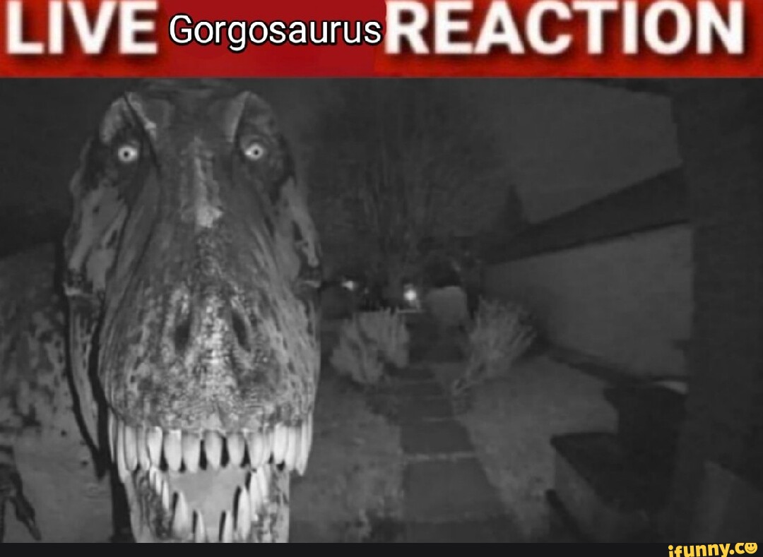 Gorosaurus memes. Best Collection of funny Gorosaurus pictures on iFunny