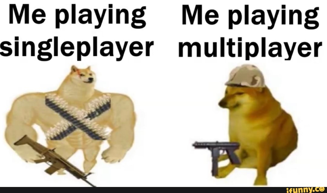Me playing Me playing singleplayer multiplayer - iFunny