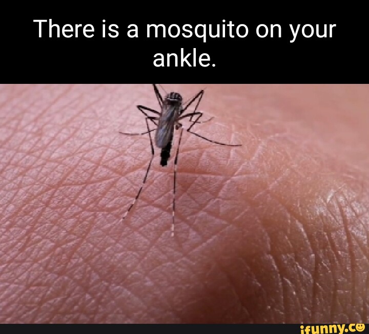 Ankle memes. Best Collection of funny Ankle pictures on iFunny