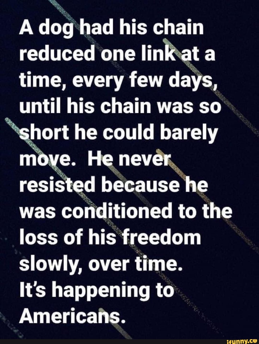 Dog had his chain reduced one link ata time, every few days, until his ...