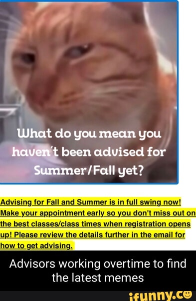 Advising memes. Best Collection of funny Advising pictures on iFunny