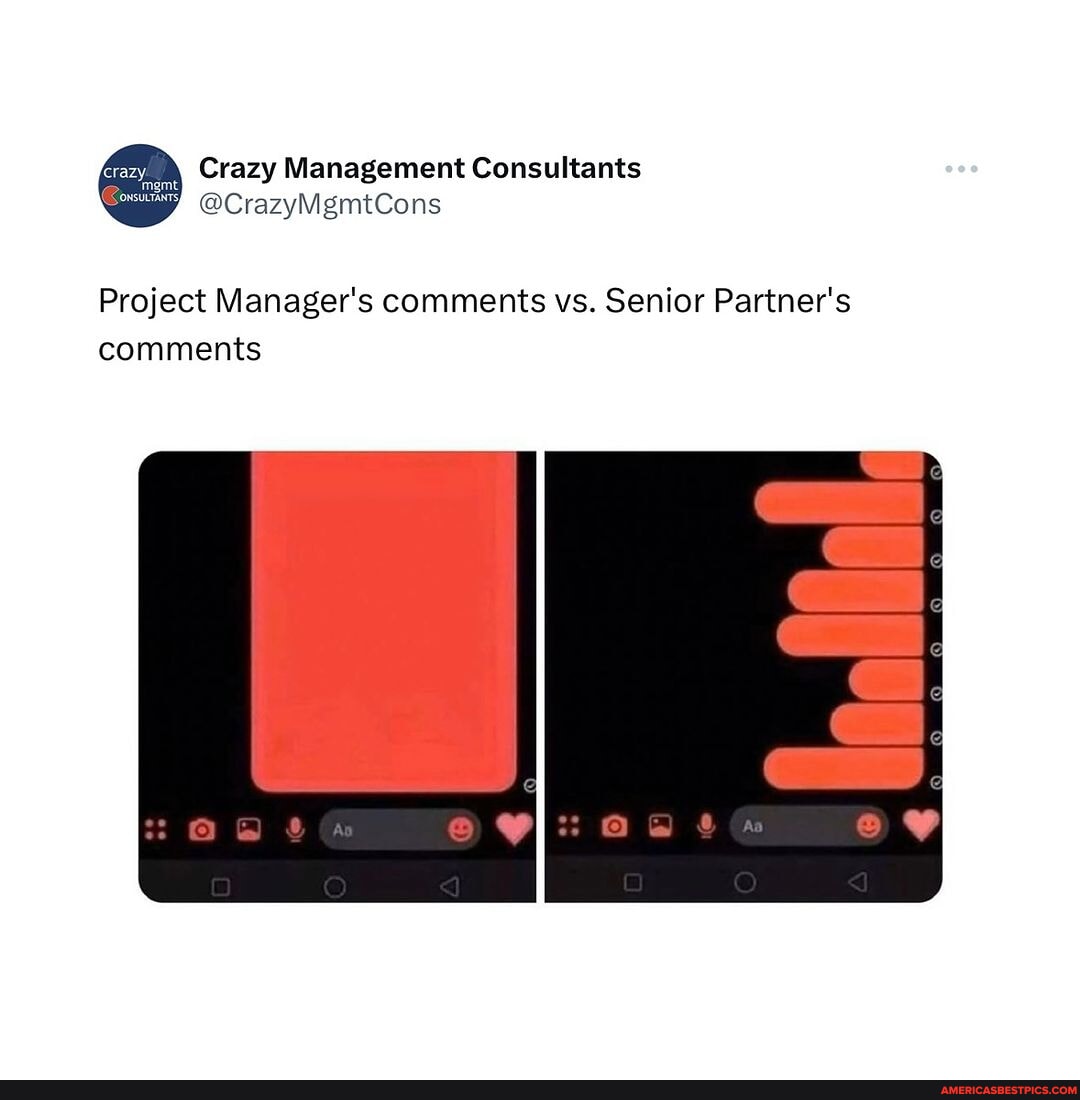 Which one are you? #plsfix2024 - crazy Crazy Management Consultants ...