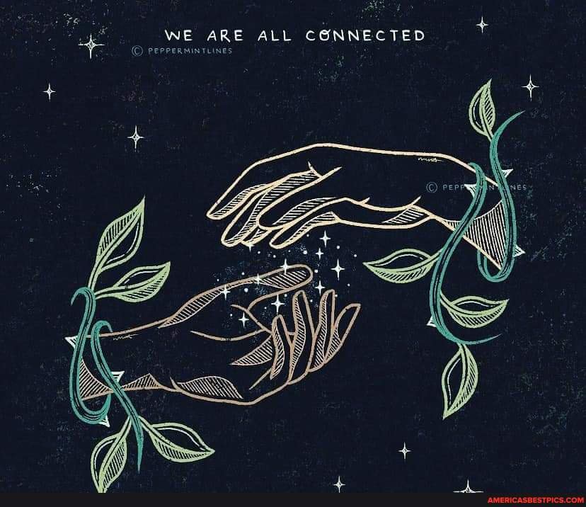 WE ARE ALL CONNECTED - America’s best pics and videos