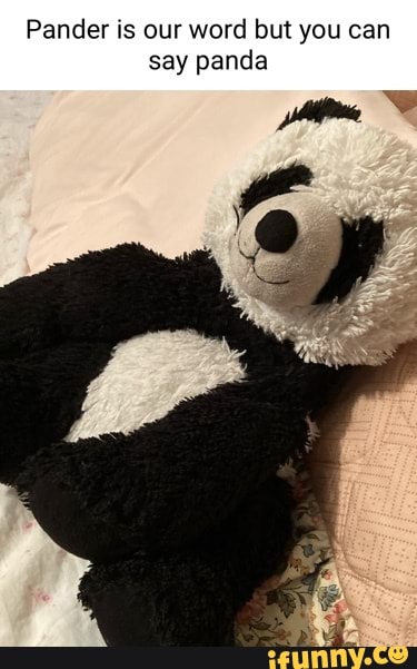 Pander is our word but you can say panda - iFunny