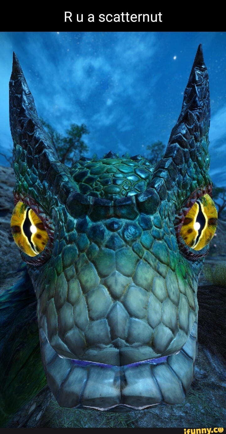 Mhw memes. Best Collection of funny Mhw pictures on iFunny