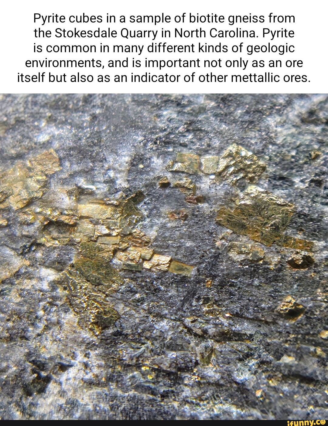 Geology memes. Best Collection of funny Geology pictures on iFunny
