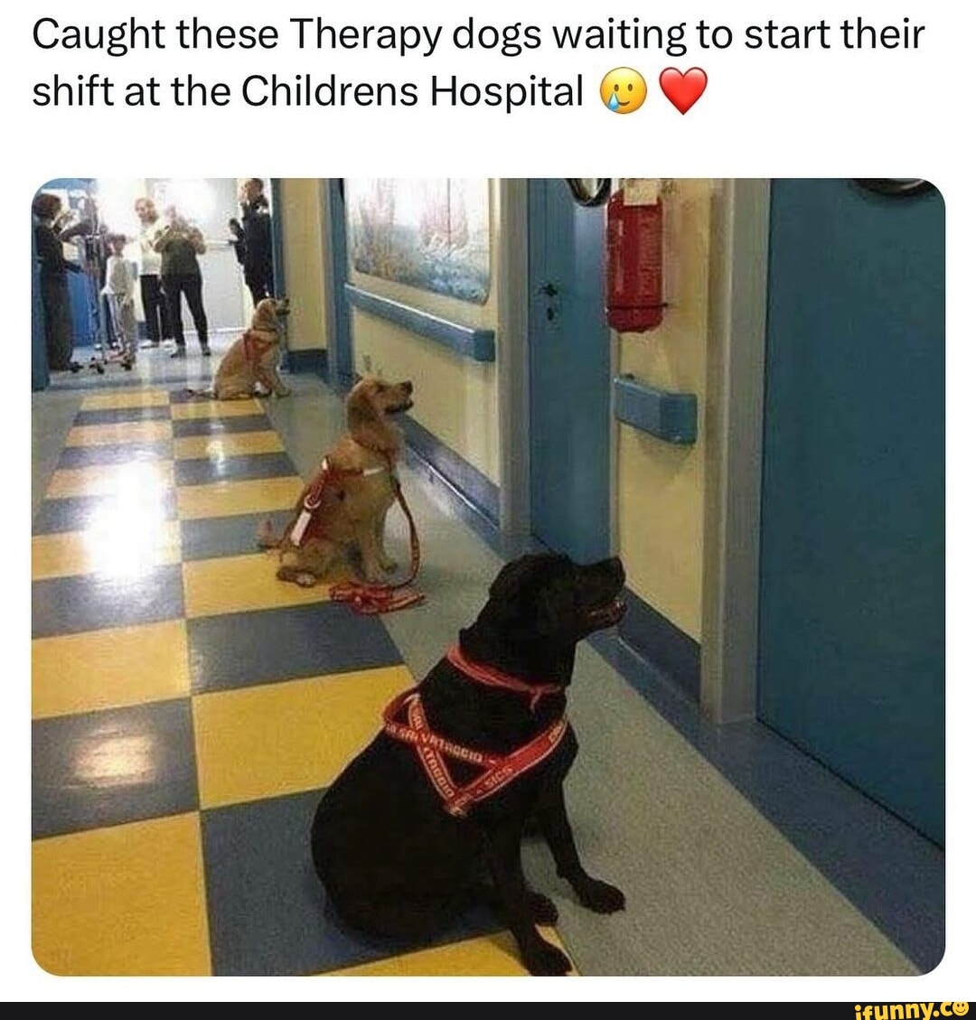 Hospital memes. Best Collection of funny Hospital pictures on iFunny