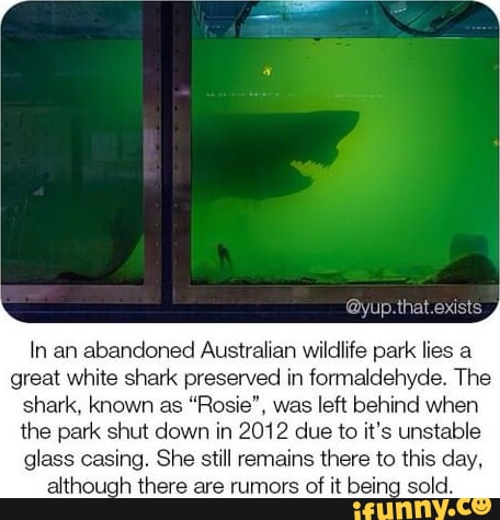 @yup.that.exists In an abandoned Australian wildlife park lies a great ...