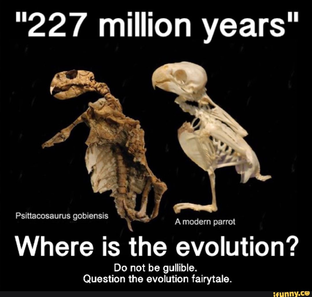 "227 million years" Psittacosaurus gobiensis A modern parrot Where is ...