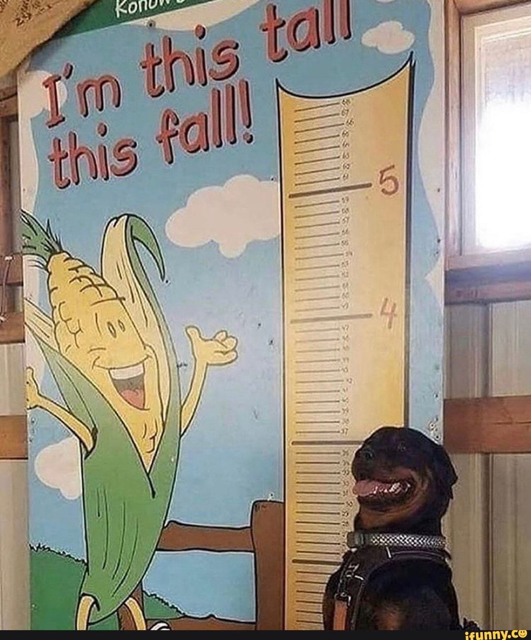 Picture memes QYDlKbSh7 by nyquil_fard_2019: 308 comments - iFunny