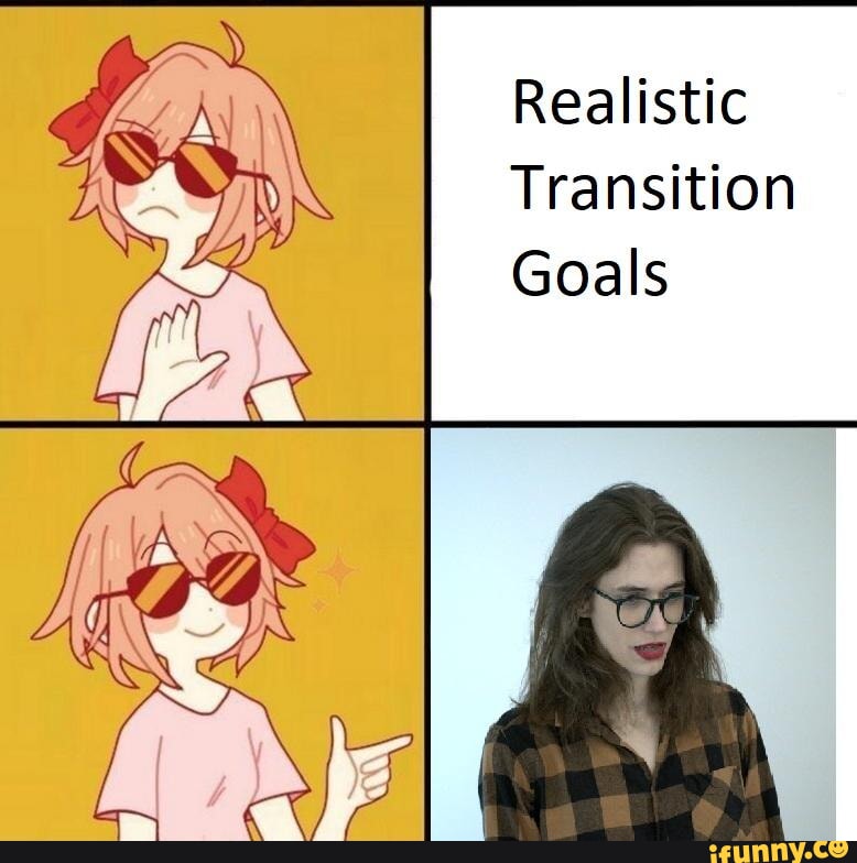 Egg_irl - Realistic Transition Goals - iFunny