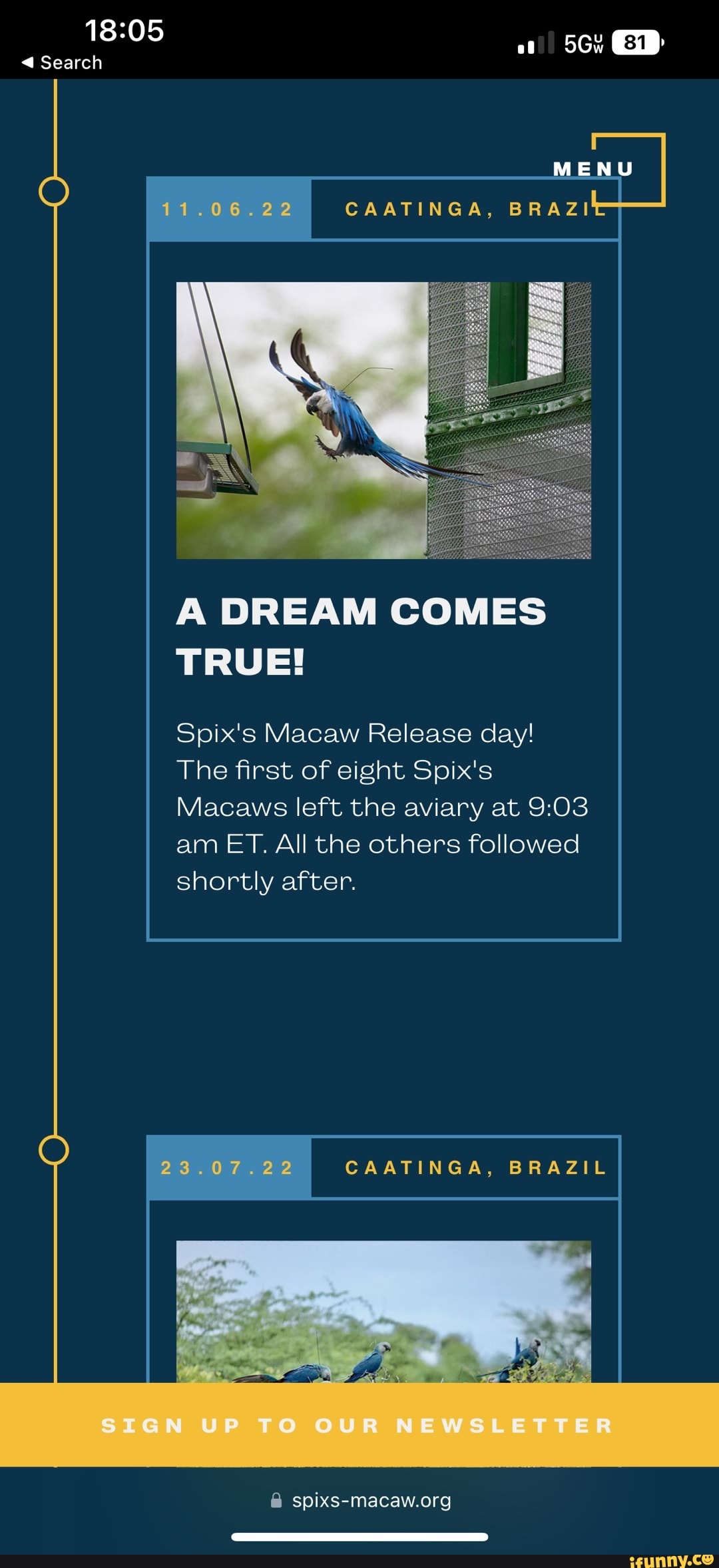 Macaws memes. Best Collection of funny Macaws pictures on iFunny