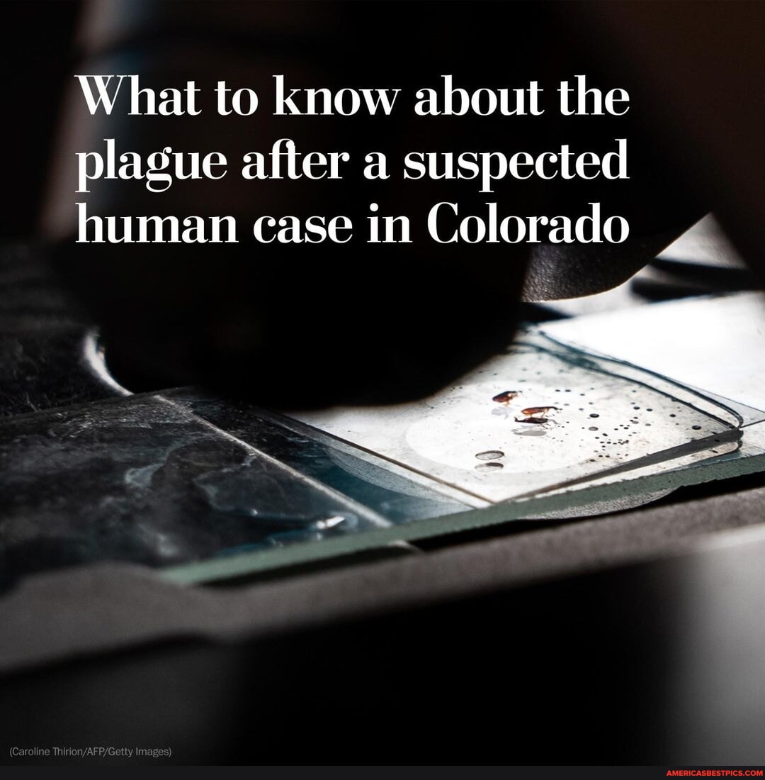 A rare case of the plague is being investigated in Pueblo County by the ...