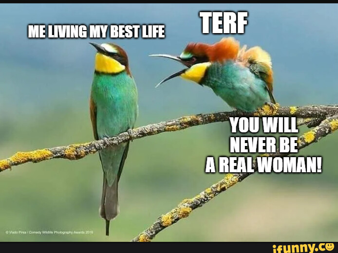 Fallout New Vegas OTS go burrr - ME LIVING MY BEST LIFE TERF YOU WILL ...