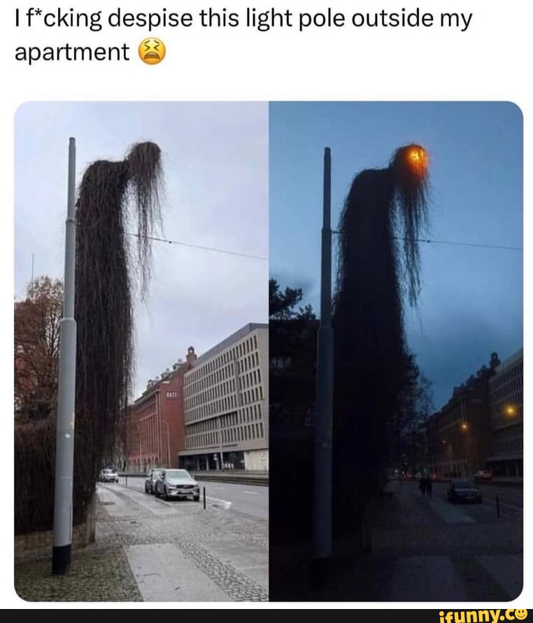 I f*cking despise this light pole outside my apartment - iFunny