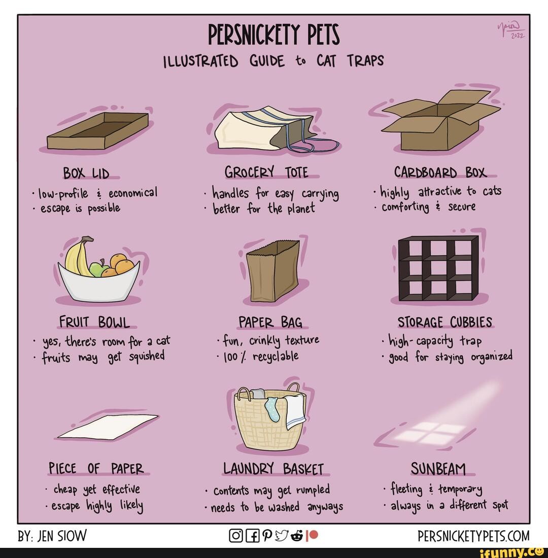 Persnickety memes. Best Collection of funny Persnickety pictures on iFunny