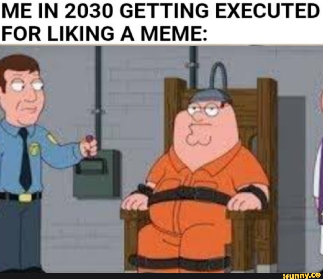 ME IN 2030 GETTING EXECUTED FOR LIKING A MEME: a SS - iFunny