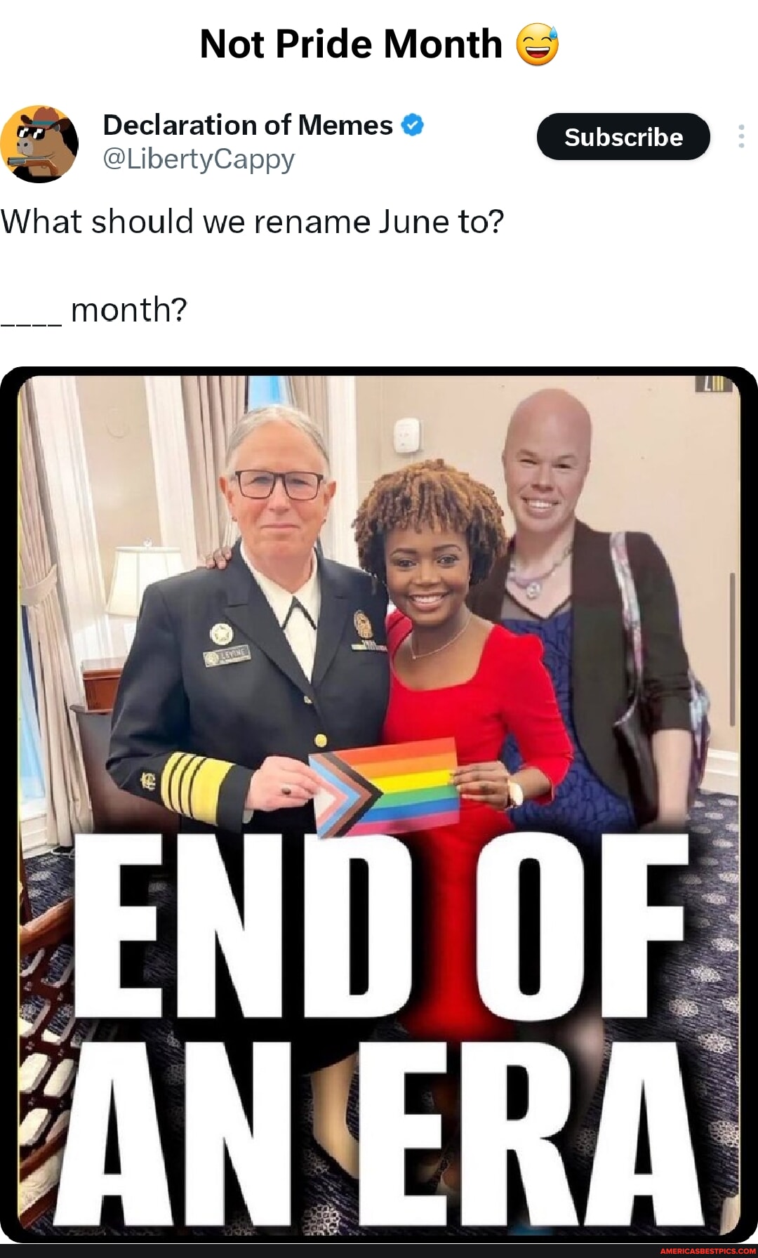 Not Pride Month Declaration of Memes @LibertyCappy Subscribe What ...