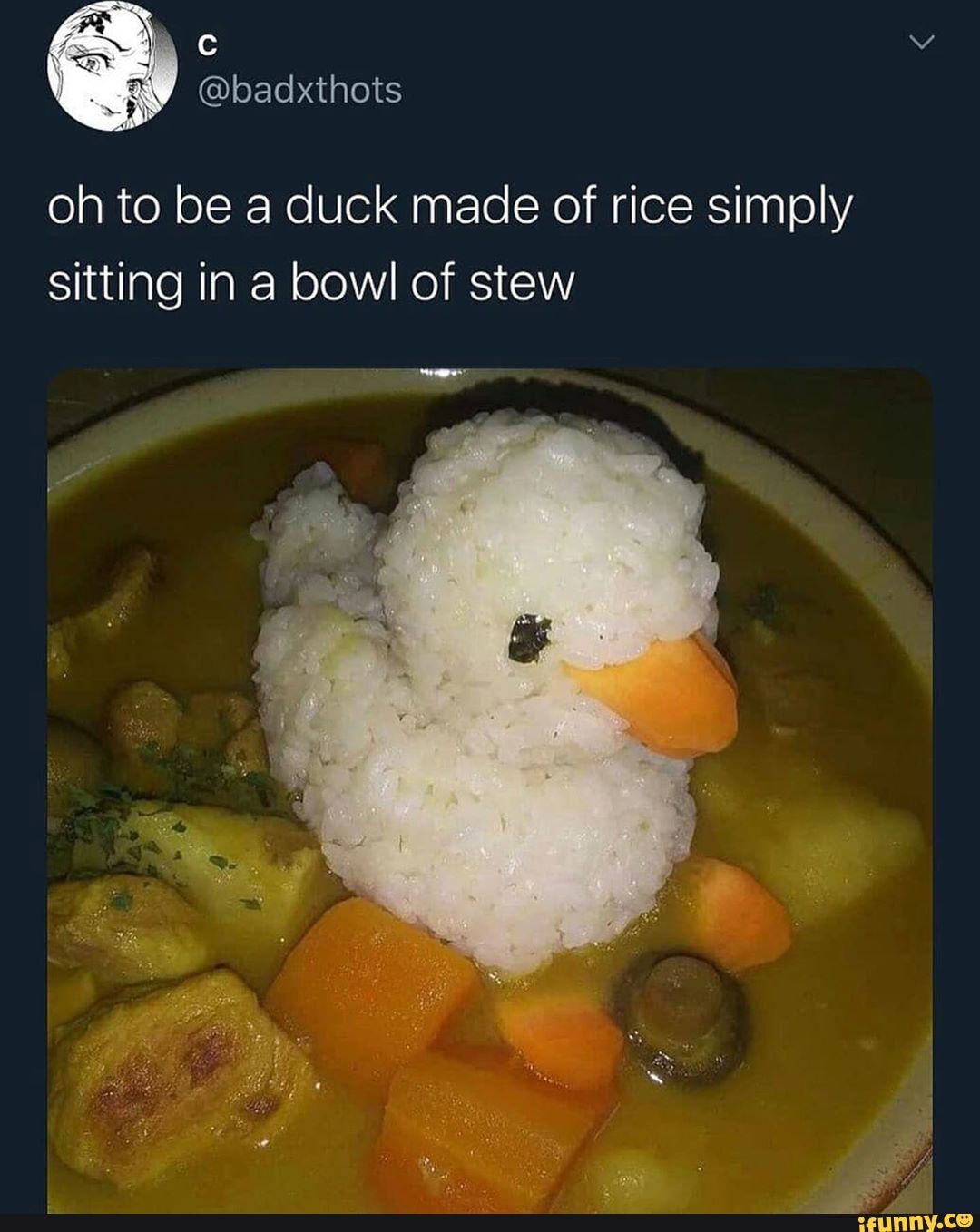 Oh to be a duck made of rice simply sitting in a bowl of stew - iFunny