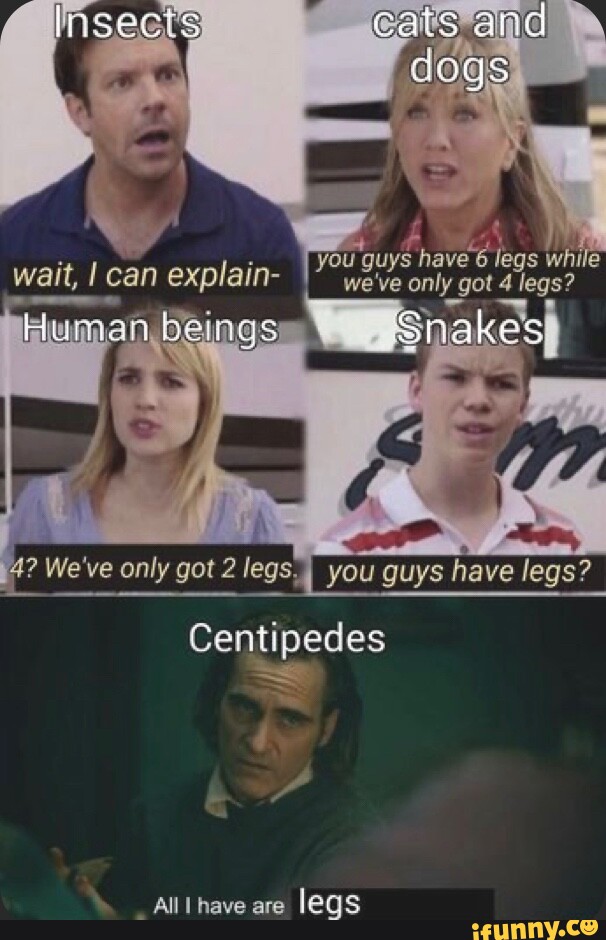 Centipedes memes. Best Collection of funny Centipedes pictures on iFunny