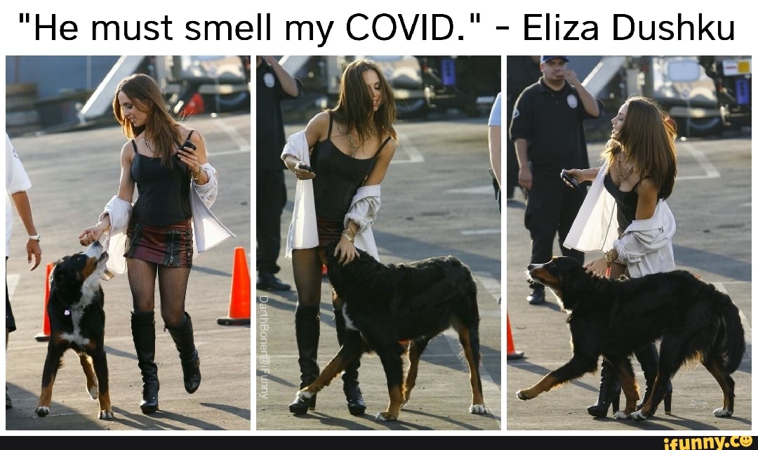 Elizadushku memes. Best Collection of funny Elizadushku pictures on iFunny