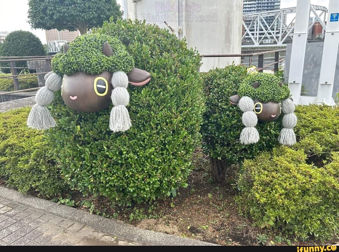 Wooloo memes. Best Collection of funny Wooloo pictures on iFunny