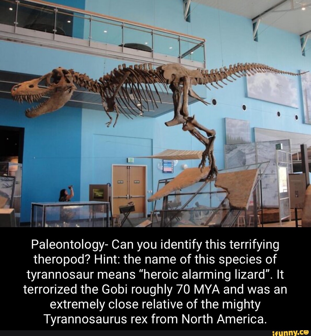 I I TA Paleontology- Can you identify this terrifying theropod? Hint ...