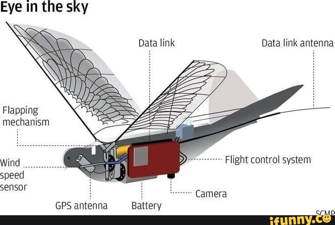 Eye in the sky Data link Data link antenna Flapping mechanism Flight ...